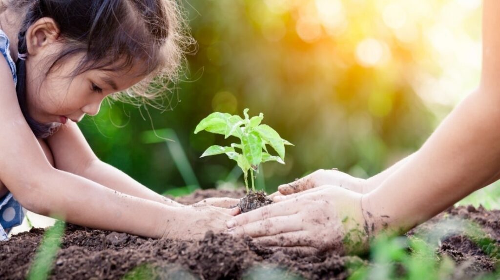 How trees help children's mental health - Mati News