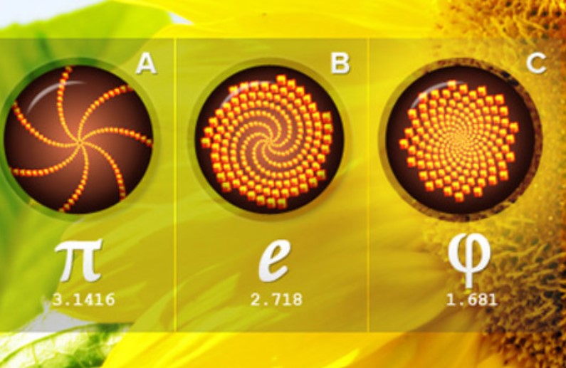 Relational equation between Fibonacci series with Pi - Mati News